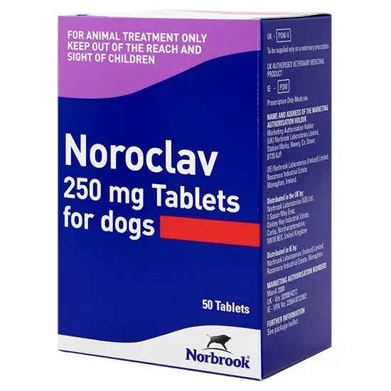 Noroclav 250mg Tablets | Low Prices