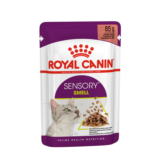 Royal Canin Sensory Smell Wet Cat Food Chunks in Gravy
