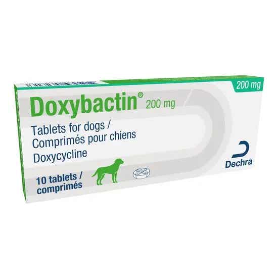 Doxybactin 200mg Tablets Dogs | Lowest Price UK