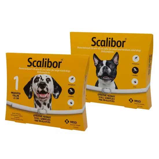 Scalibor Protectorb& Medicated Collar Dogs | Fast Delivery