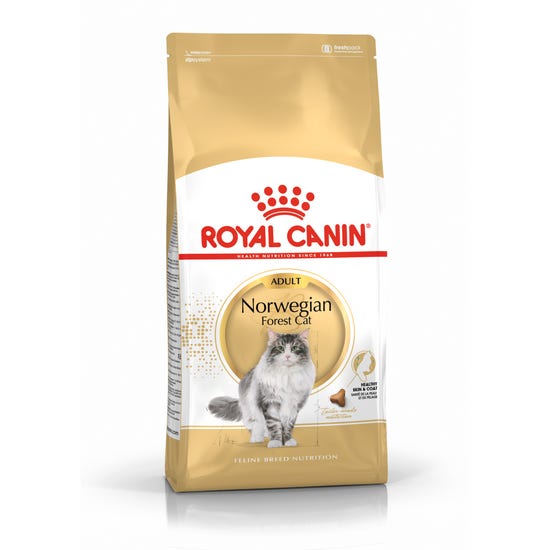 Royal Canin Norwegian Forest Dry Cat Food