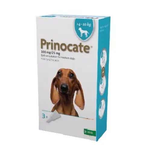 Prinocate Spot-On 100mg/25mg | Low Prices
