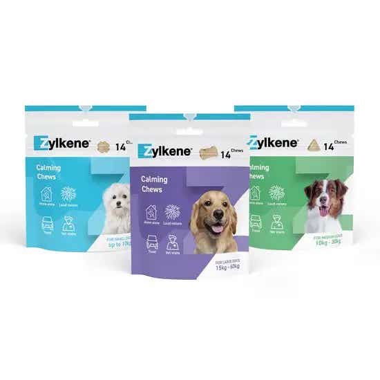 Zylkene Calming Chews for Dogs | Shop Stress Relief